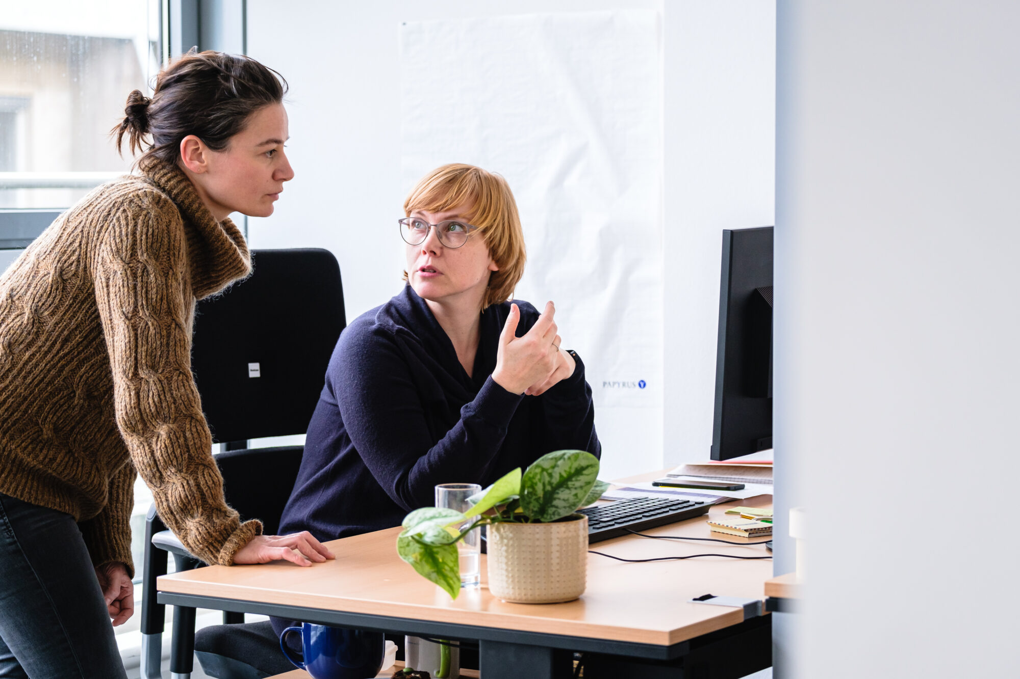 Project Development & Support - English